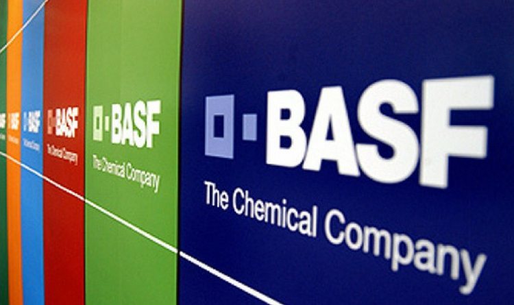 BASF abre vagas de estágio em diversas áreas - Newtrade